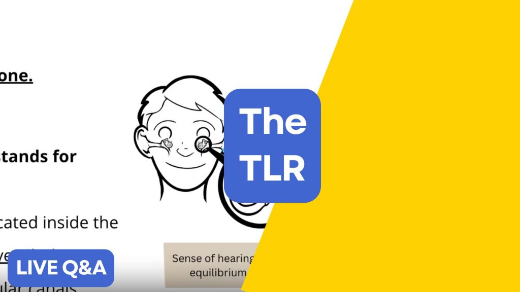 Tonic Labrynthine Reflex (TLR) - Reflex Integration Through Play